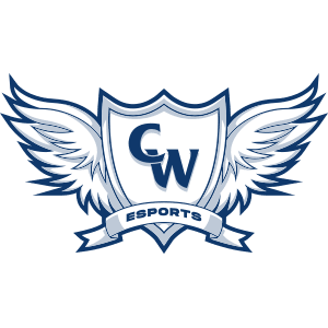 CW Esports | Custom Esports Jerseys by ARMA